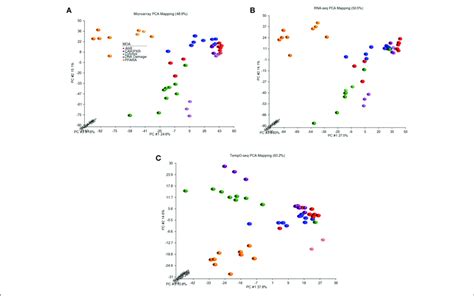 Principal Component Analysis Of The Data A Microarray B