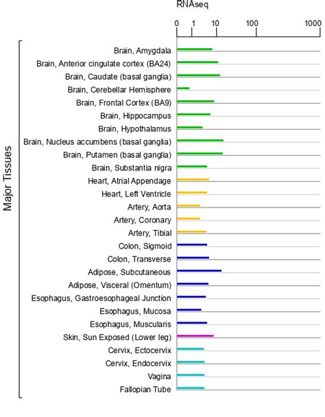 Opn4 Gene Genecards Opn4 Protein Opn4 Antibody