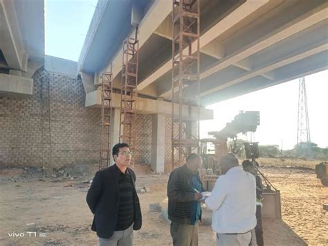 Pile Dynamic Test Services At ₹ 20000month In Bhopal Id 2854602698497