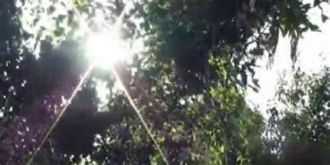 Publicbanging Public Sex By Eiffel Tower