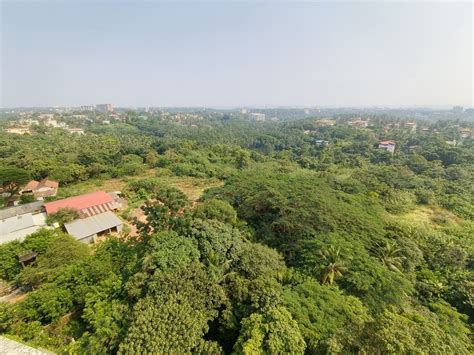 Infinix Zero 40 5G Review Mid Range Hero Gadgets 360