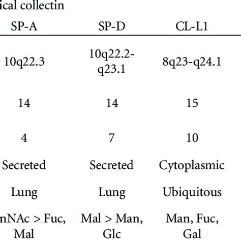 A Schematic Of The Gene Evolution Of Collectin And Complement Q C Q