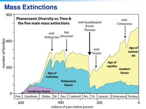 Ch 5 Evolution Biodiversity And Population Ecology Ppt Download