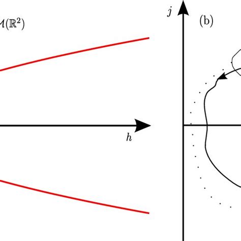 A Circuit C Around A Singular Value In The Line J 0 In The Plane