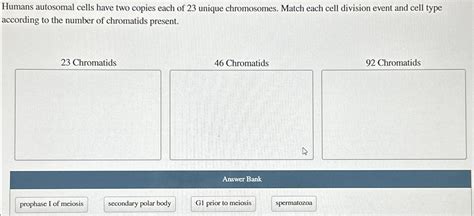 solved humans autosomal cells have two copies each of 23