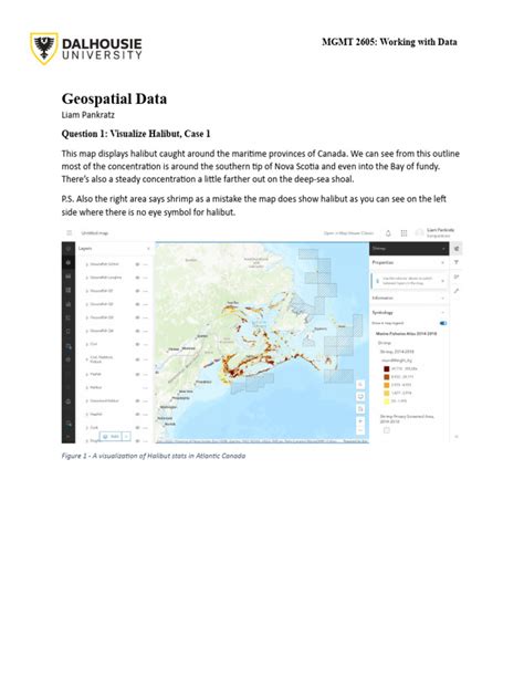 Geospatial Data Pdf