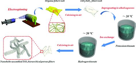 Schematic Illustration Of The Synthesis Of Nanobelt Assembled Tio 2 Download Scientific Diagram