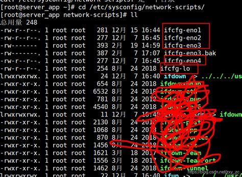 linux基础命令 linux查看网卡是光口还是电口 csdn博客