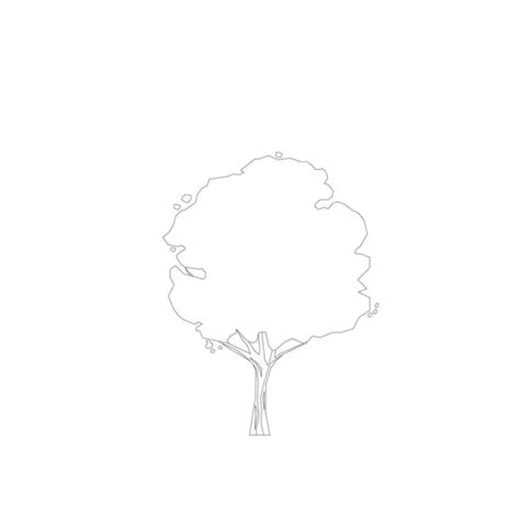 Oak Tree Sketch Vector Images Depositphotos