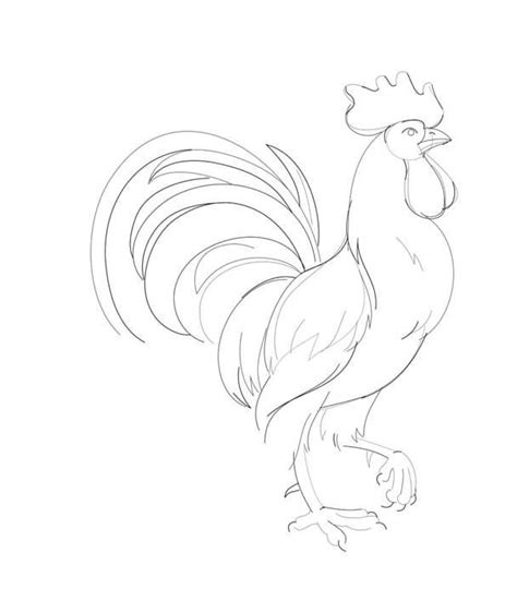 How To Draw A Rooster With A Pencil Step By Step Drawing Tutorial