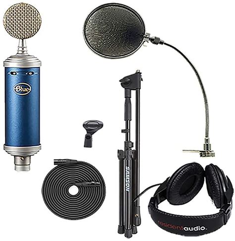 Blue Bluebird Sl Mic Stand Xlr Cable Mic Clip Pop Reverb