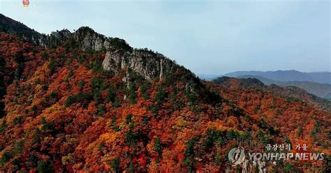 북한tv 금강산 가을단풍 소개