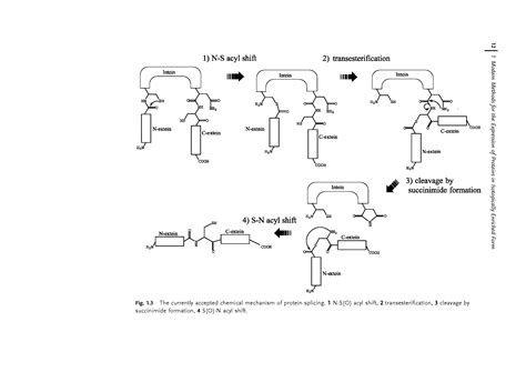 Splicing Transesterification Big Chemical Encyclopedia