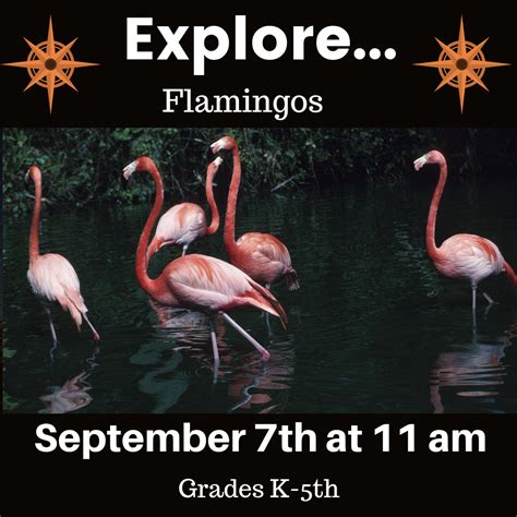 Home Page Corbin Public Library