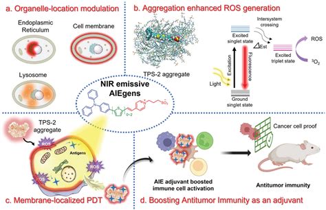Design Of Zwitterionic Nir‐emissive Aiegens By Manipulating The Download Scientific Diagram