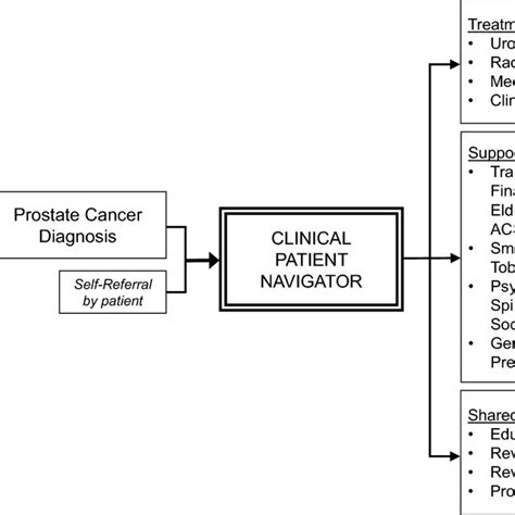 Prostate Cancer Navigation Workflow And Services Provided Download Scientific Diagram