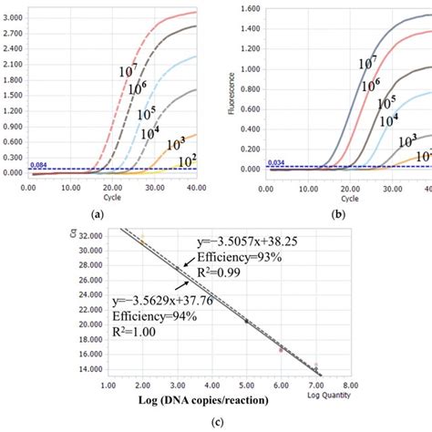 Specificity Of The One Step Real Time Taqman Rt Pcr Assay A Fj2021 Download Scientific