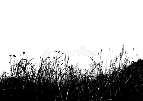 Grass Black And White