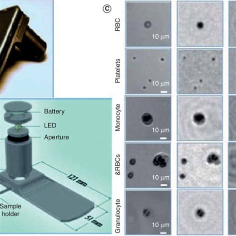 Lensless Microscopy A Cell Phone Based Lens Free Microscope Is Shown