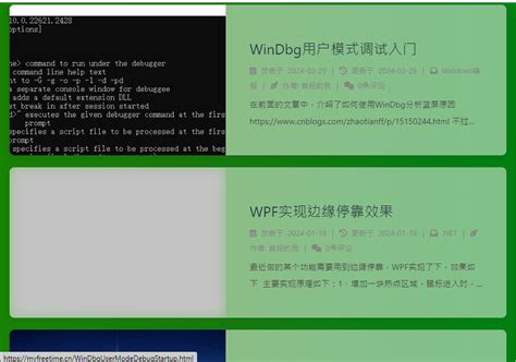 在wpf中使用webview2详解 编程大咖