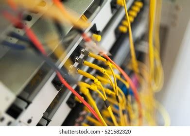 Woman Connecting Network Cables Switches Stock Photo 171079511 Shutterstock