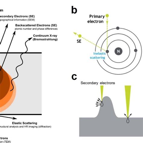 A Electron Matter Interactions The Different Types Of Signals