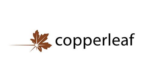 Copperleaf Technologies Reduces Company Loss Discovered Assessments