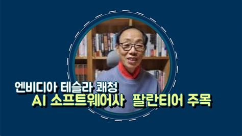 엔비디아 테슬라 쾌청 Ai 소프트웨어사 팔란티어 주목1772회 Youtube