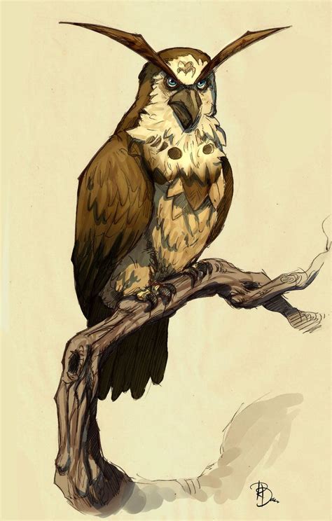 Kaepora Gaebora By R On Deviantart Legend Of