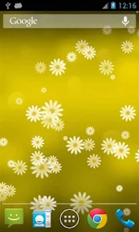 Daisy Flower Live Wallpaper For Android Download
