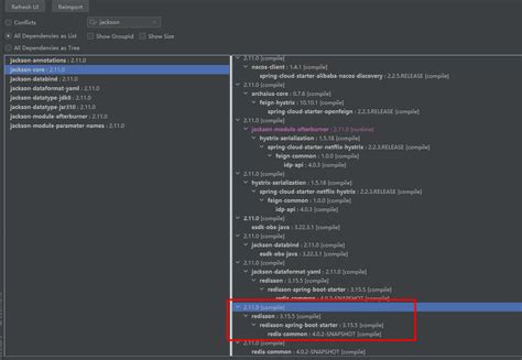 后端 基础包引入依赖包版本冲突问题排查与解决（jackson版本低） 个人文章 Segmentfault 思否