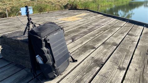 Realtime Ai Bird Detection Using Smartphone Robotics Cats