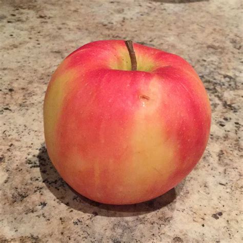 Carbs And Calories In A Honeycrisp Apple At Clara Stamps Blog