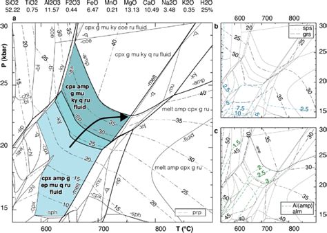 P T Pseudosection And Selected Compositional Isopleths Calculated In Download Scientific