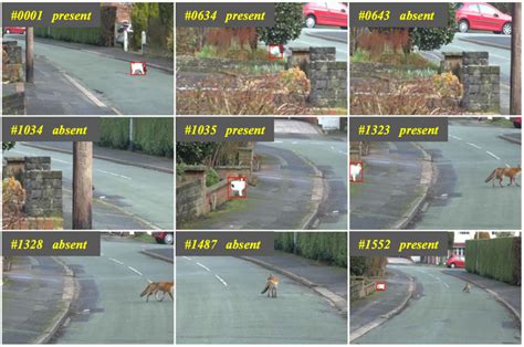 Learning Regression And Verification Networks For Robust Long Term