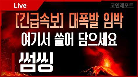 썸씽 가장 정확한 상승 시점 될 것 2차 랠리 시작 준비 썸씽 썸씽코인 썸씽전망 썸씽목표가 썸씽호재 급등코인 급등코인추천 Youtube