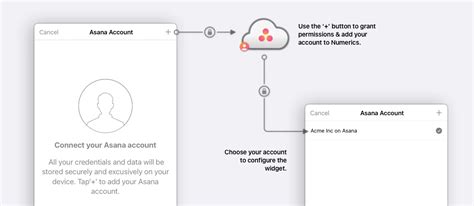 Asana Dashboard Setup Guide Numerics Cynapse