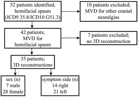 Utilization Of 3d Imaging Reconstructions And Assessment Of Symptom