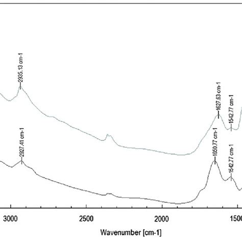 Ftir Spectra Of Carob Flesh And Seed Sample From Cyprus Kountourka In