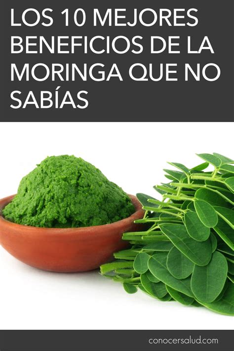 Los 10 Mejores Beneficios De La Moringa Que No Sabías Conocer Salud