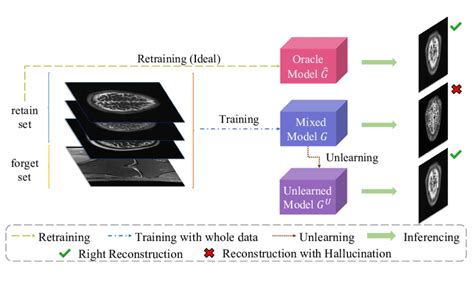 The Implementation Of Machine Unlearning In Mri Reconstruction The Download Scientific Diagram