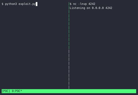 Building An Exploit For FortiGate Vulnerability Bishop Fox