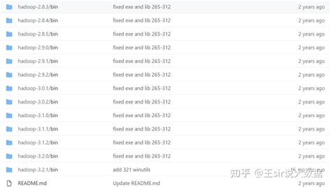 问题解决篇 32 hadoop 各个版本的hadoop dll 下载路径 知乎