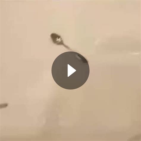 Miachel After Being Scooped Rfnafmeme