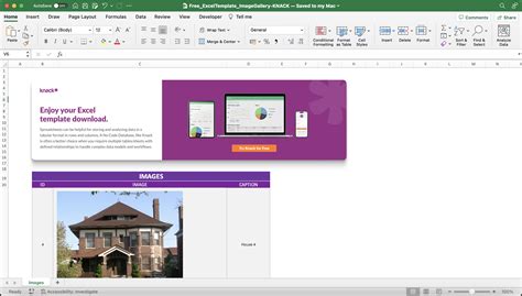 Image Gallery Spreadsheet Template Knack
