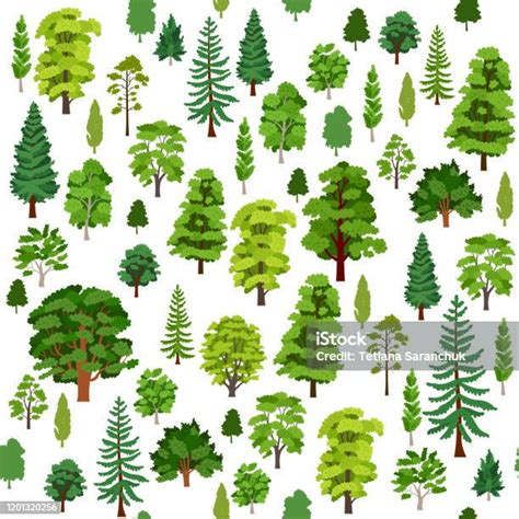 가을 숲 나무 패턴입니다 우드 랜드 만화 원활한 풍경입니다 나무에 대한 스톡 벡터 아트 및 기타 이미지 나무 0명 계절 Istock