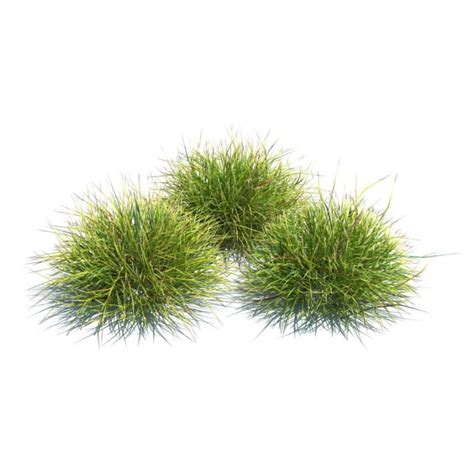 Three Peice Green Landscaping Grass 3d Model Cgtrader
