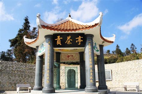 鸟王村处于贵定县南面的云雾山麓是一个高山平坝苗族地区层层梯田优美如画海拔高土质深厚特别适合茶叶生产生产的茶叶驰名中外是云雾贡茶