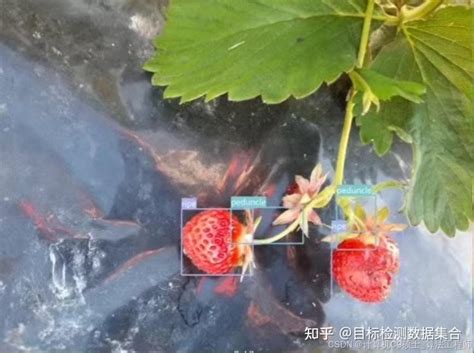 如何利用深度学习框架训练使用 可以使用yolov5模型来进行目标检测 智慧化生产工地 钢筋计数数据集共23400组 Voc标注，从数据准备到