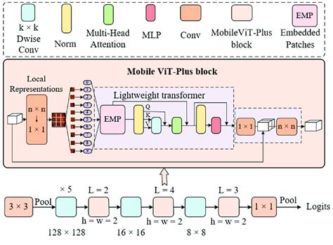 Mobilevit Plus And Blocks Download Scientific Diagram